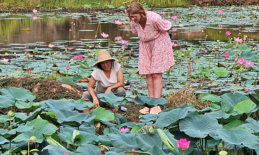 Lotus Silk Farm - Cambodian Travel Partner