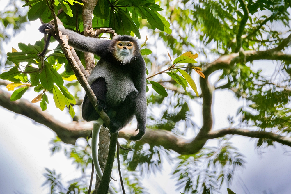 Jahoo Camp - Cambodian Travel Partner